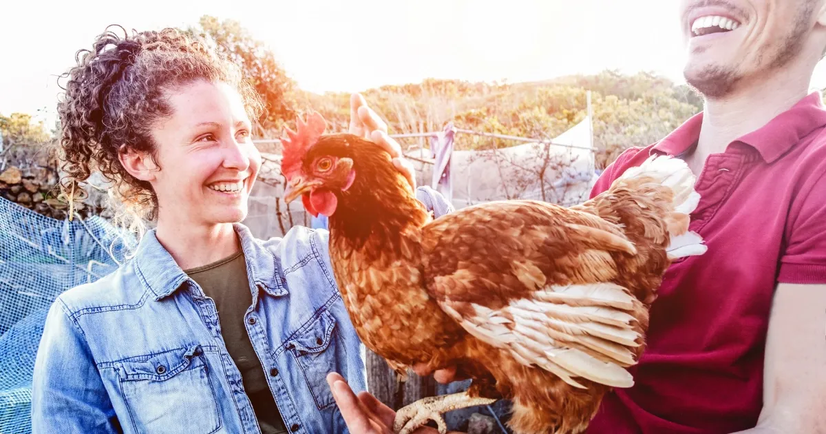 The Dawesy Hub - Small Acts, Big Impact