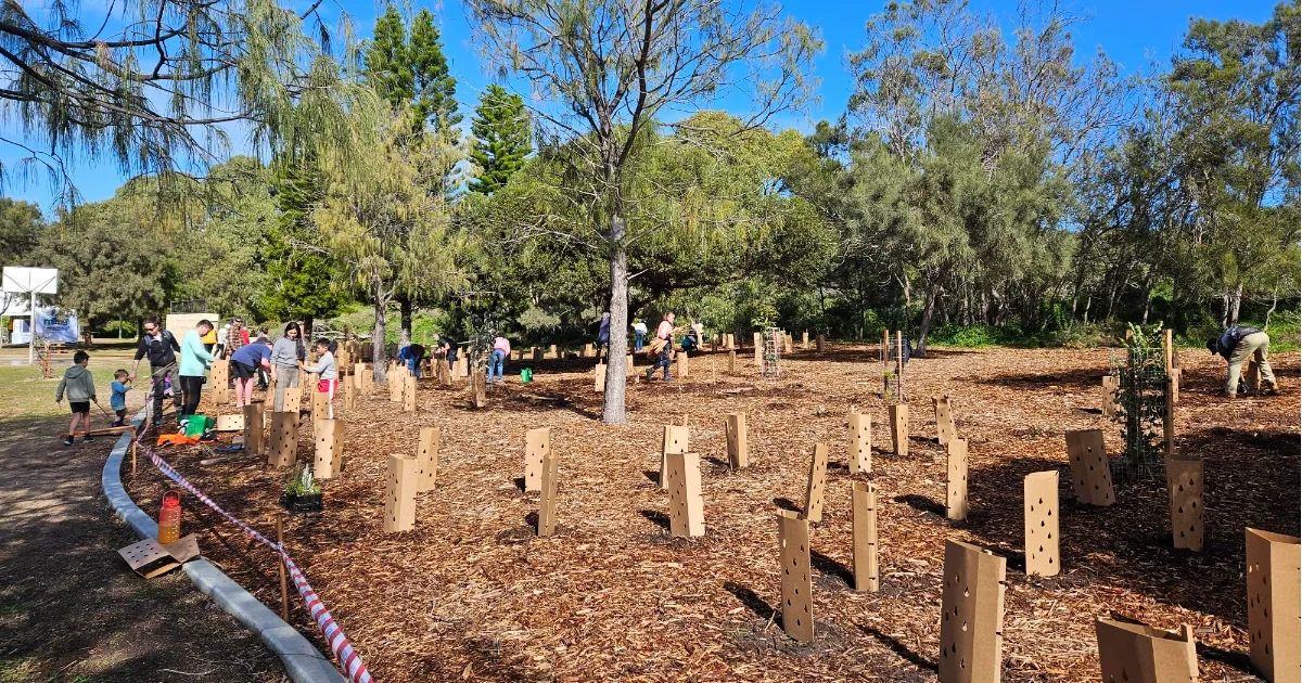 The Dawesy Hub - Over 3,000 Trees and Counting in Dawesville